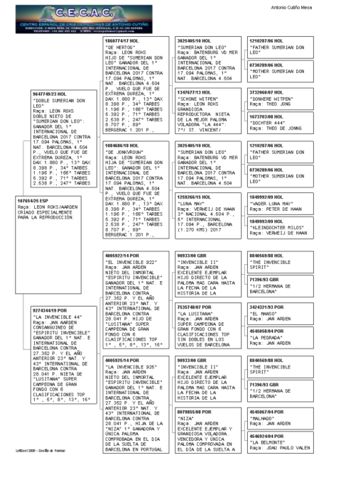 ESP: 2025-107654-H♀ LEON ROKS/JAN AARDEN - Centro de Cría de Palomas
